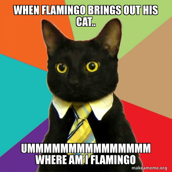 When flamingo brings out his cat.. Ummmmmmmmmmmmmmm where am i flamingo ...