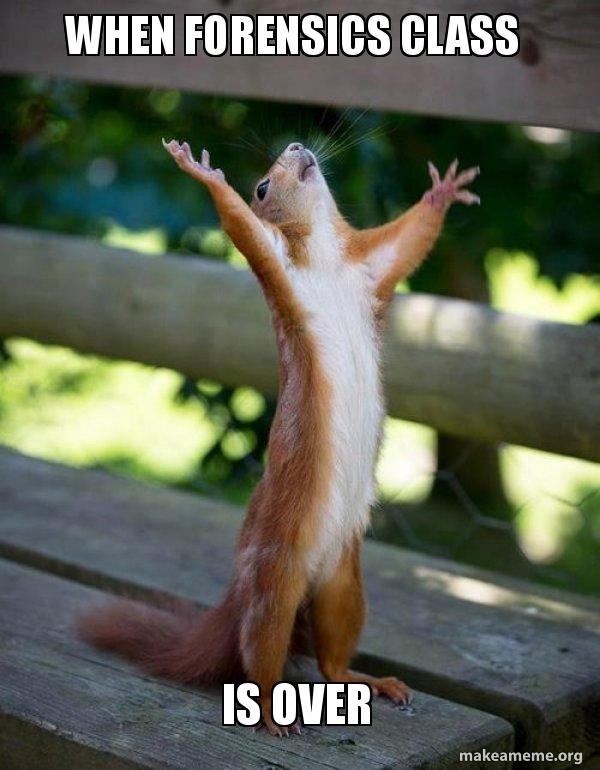 when forensics class is over - Happy Squirrel | Make a Meme