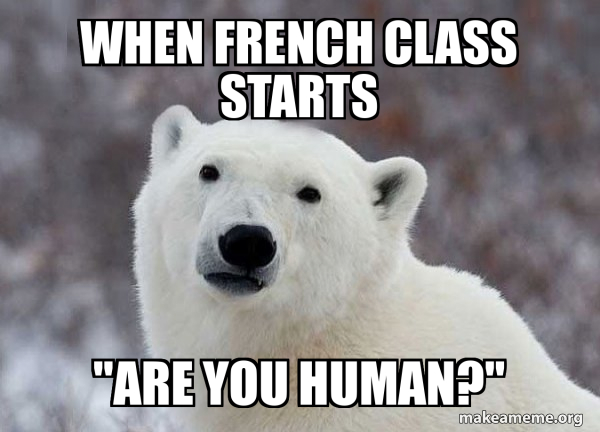 When French class starts "Are you human?" - Popular Opinion Polar Bear ...
