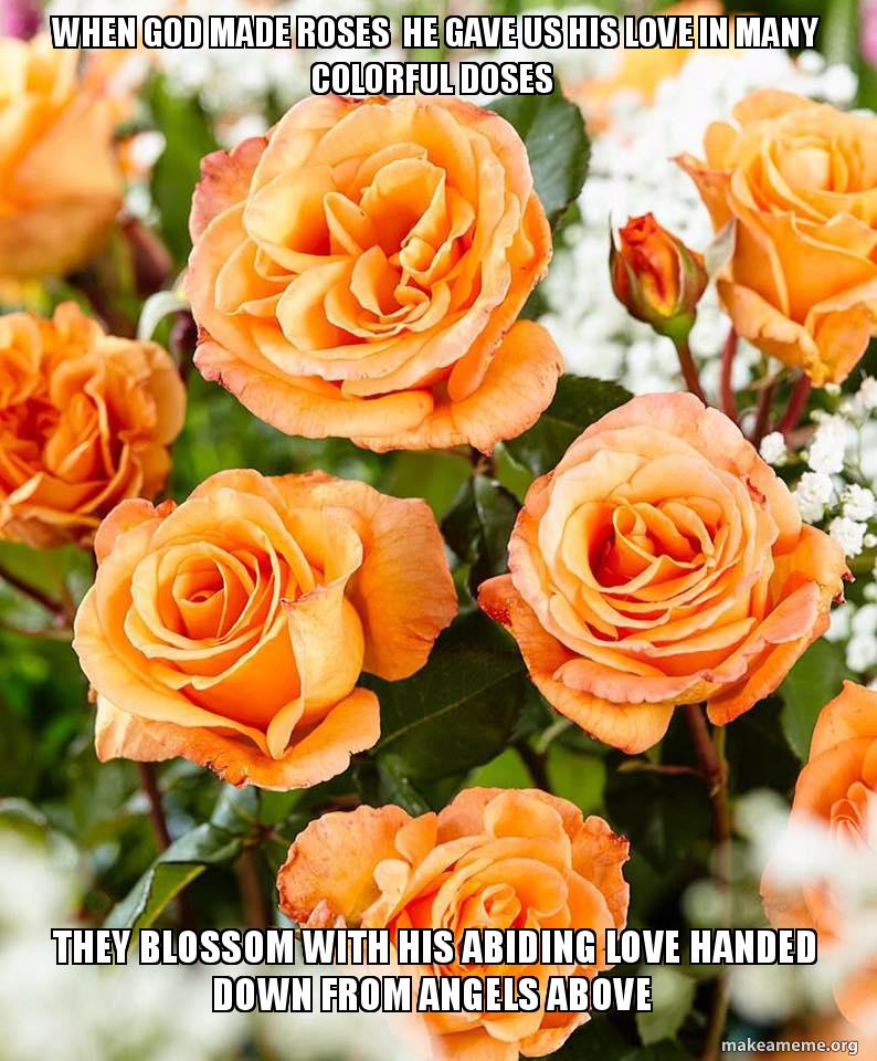 When God made roses he gave us His love in many colorful doses they ...