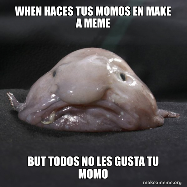 When haces tus momos en make a meme But todos no les gusta tu momo ...