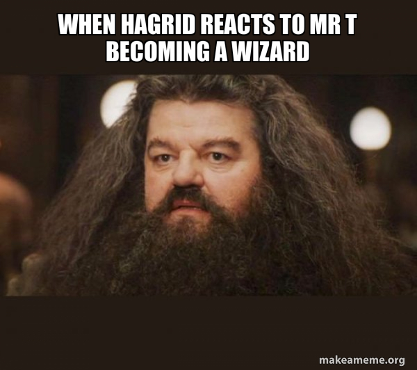 When Hagrid reacts to Mr T becoming a wizard - Hagrid - I should not ...