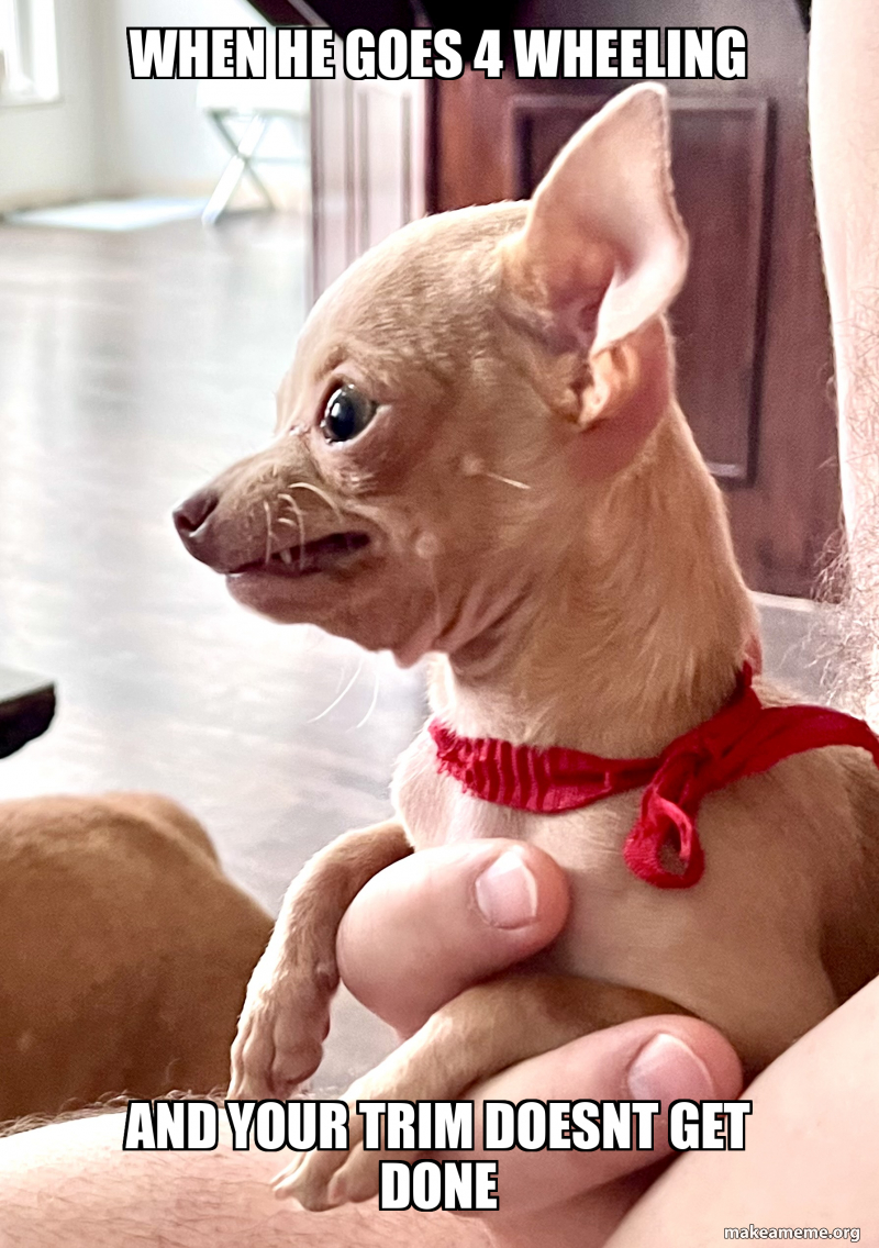 When he goes 4 Wheeling And your trim doesnt Get done Meme Generator