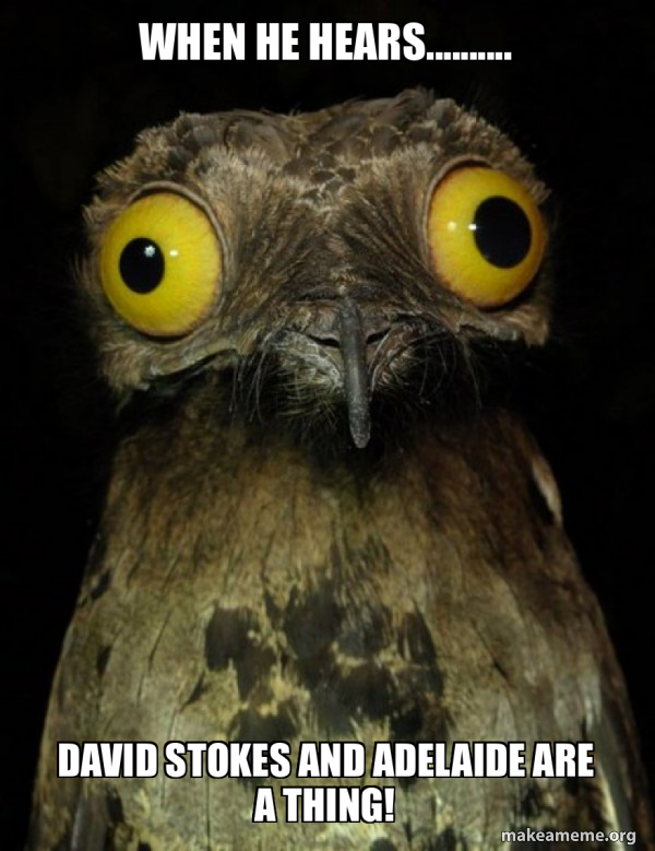 When he hears.......... David Stokes and Adelaide are a thing! - Weird ...