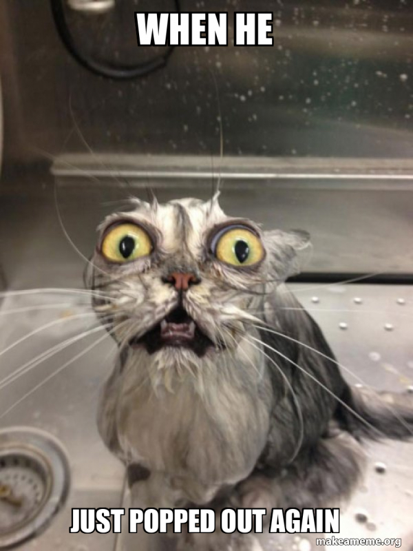 when he JUST POPPED OUT AGAIN - Cat bath Meme Generator