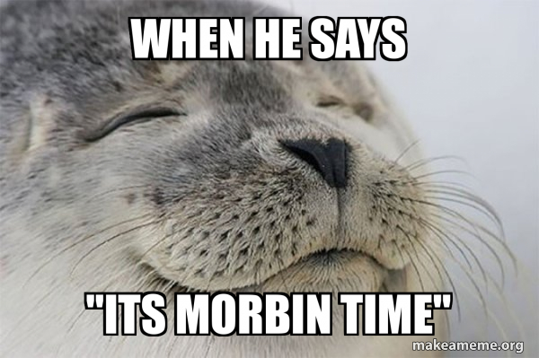 When he says "Its morbin time" - Satisfied Seal Meme Generator