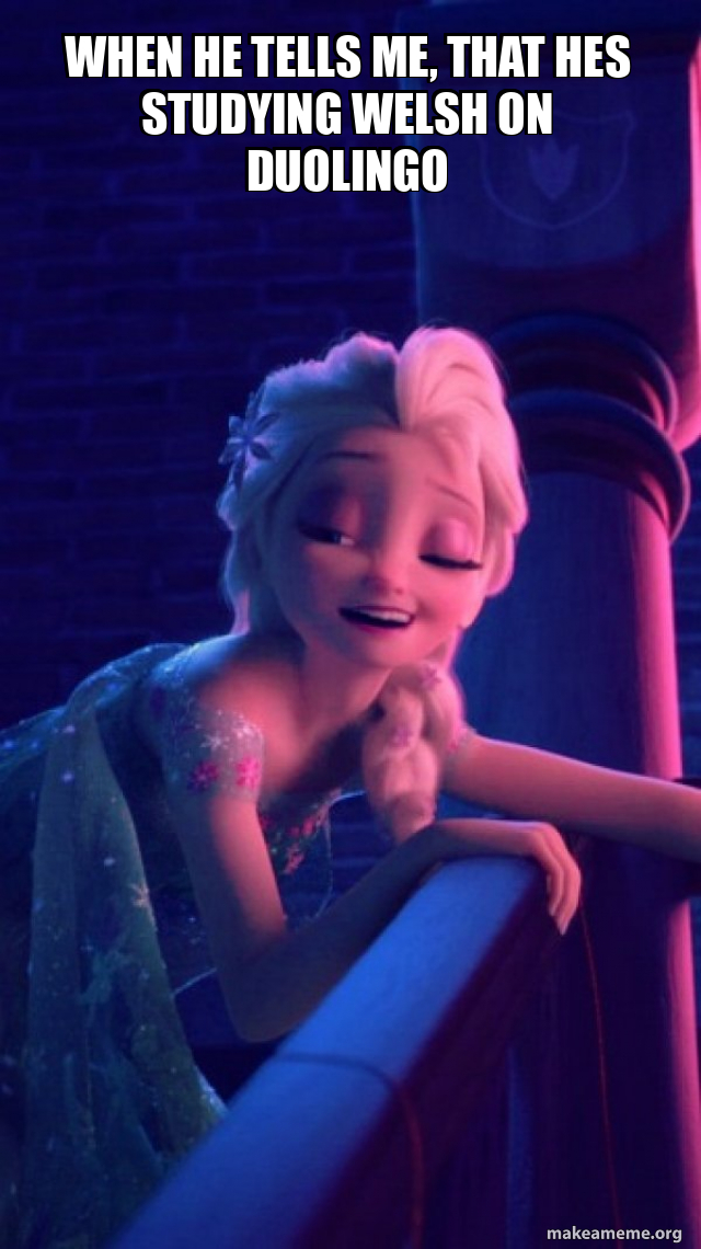 When he tells me, that hes studying Welsh on Duolingo - Drunk Elsa Meme ...