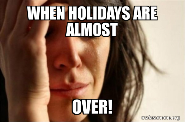 When holidays are almost OVER! - First World Problems Meme Generator