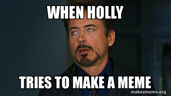 Hollie Memes