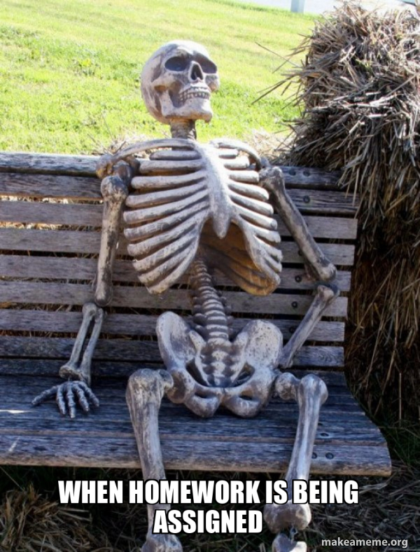 WHEN HOMEWORK IS BEING ASSIGNED - Waiting Skeleton Meme Generator