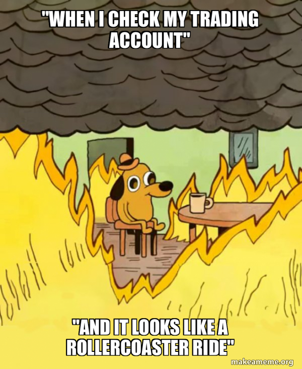 "When I check my trading account" "And it looks like a rollercoaster ...