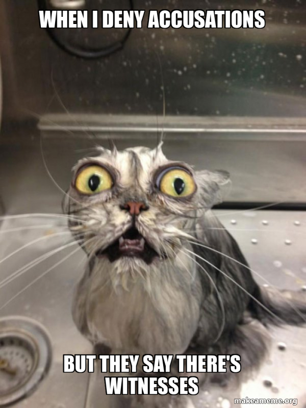 when i deny accusations but they say there's witnesses - Cat bath Meme ...