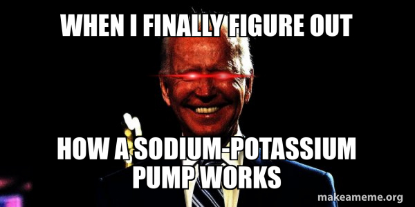 when I finally figure out how a sodium-potassium pump works - Dark ...