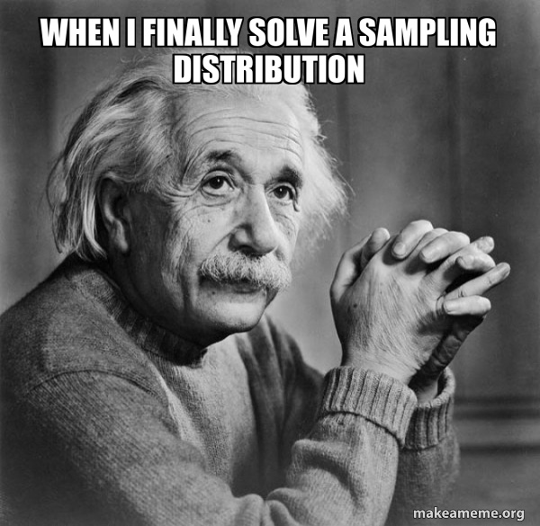 when I finally solve a sampling distribution - Serious Albert Einstein ...