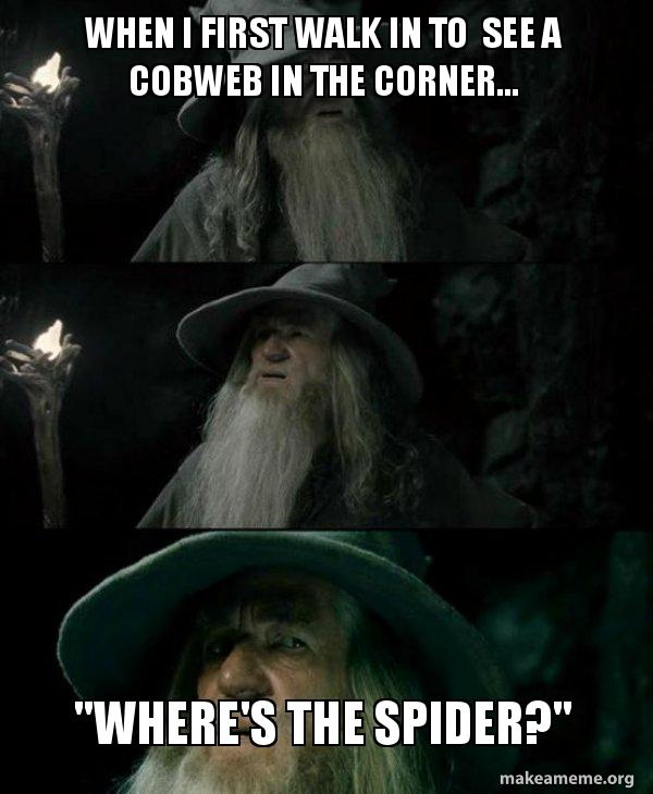 When I first walk in to see a cobweb in the corner... "Where's the ...