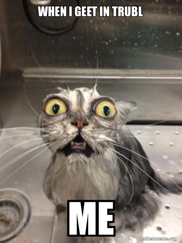when i geet in trubl me - Cat bath Meme Generator
