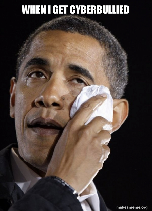 When I get cyberbullied - Crying Obama Meme Generator