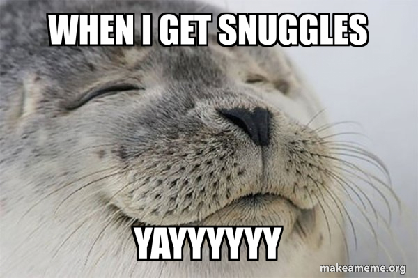 When I get snuggles Yayyyyyy - Satisfied Seal Meme Generator