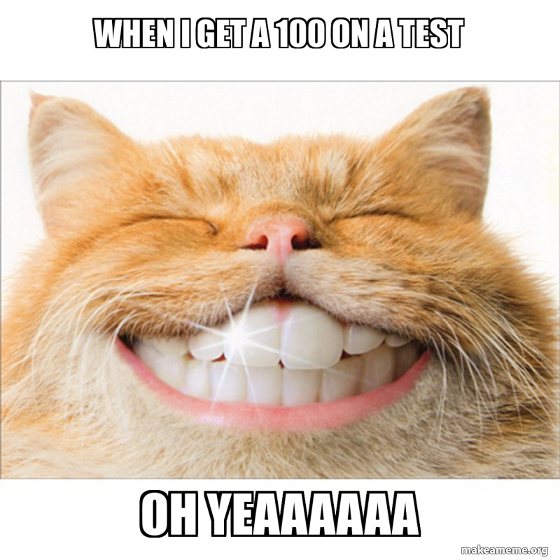 when i get a 100 on a test OH YEAAAAAA Meme Generator