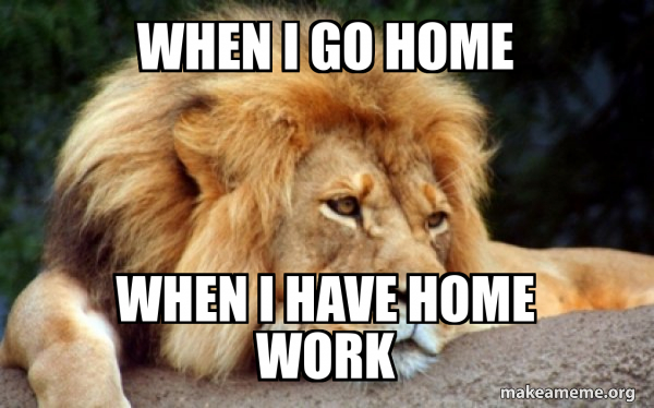 when i go home when i have home work - Confession Lion Meme Generator
