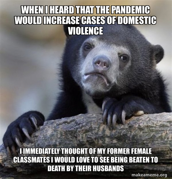 When I heard that the pandemic would increase cases of Domestic ...