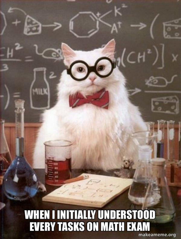 When I initially understood every tasks on math exam - Chemistry Cat ...