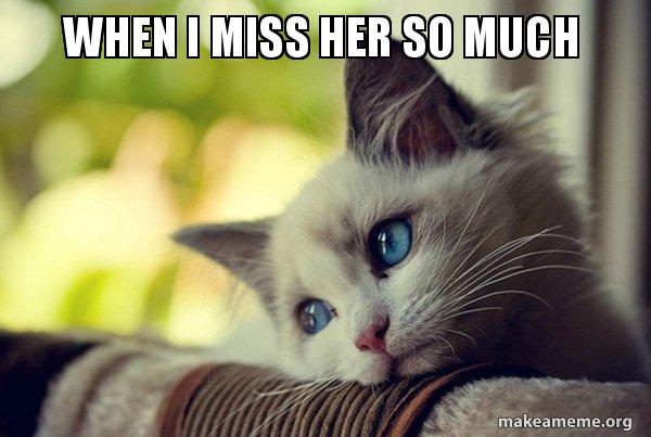 When I miss her so much - First World Cat Problems Meme Generator