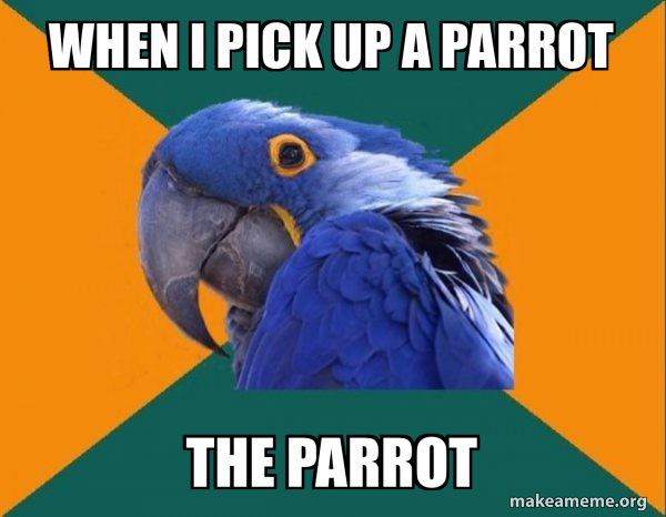 When I pick up a parrot The parrot - Paranoid Parrot | Make a Meme