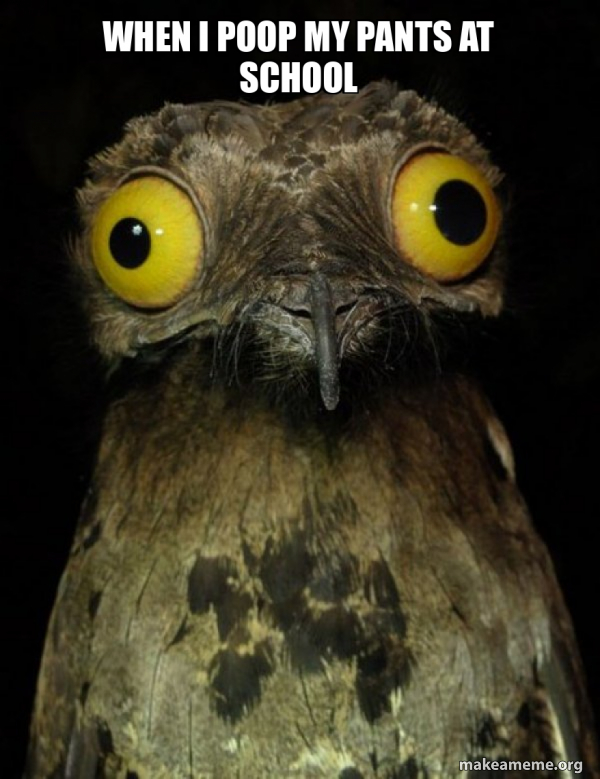 When I poop my pants at school - Weird Stuff I do Potoo Meme Generator