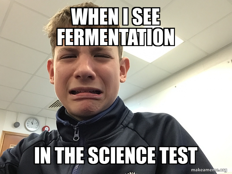 when i see fermentation in the science test Meme Generator
