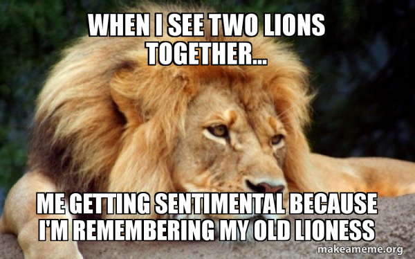 When I see two lions together... Me getting sentimental because I'm ...
