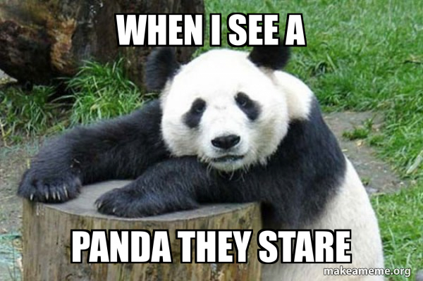 when i see a panda they stare - Confession Panda Meme Generator