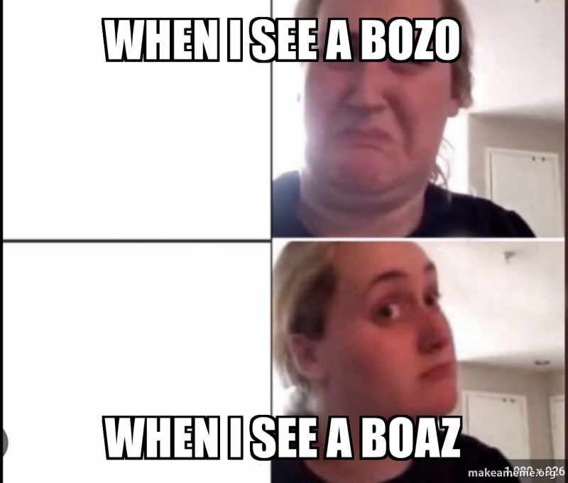 When i see a bozo when i see a boaz Meme Generator