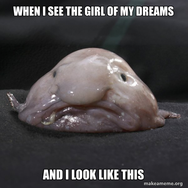 when i see the girl of my dreams and i look like this - Blobfish Meme ...
