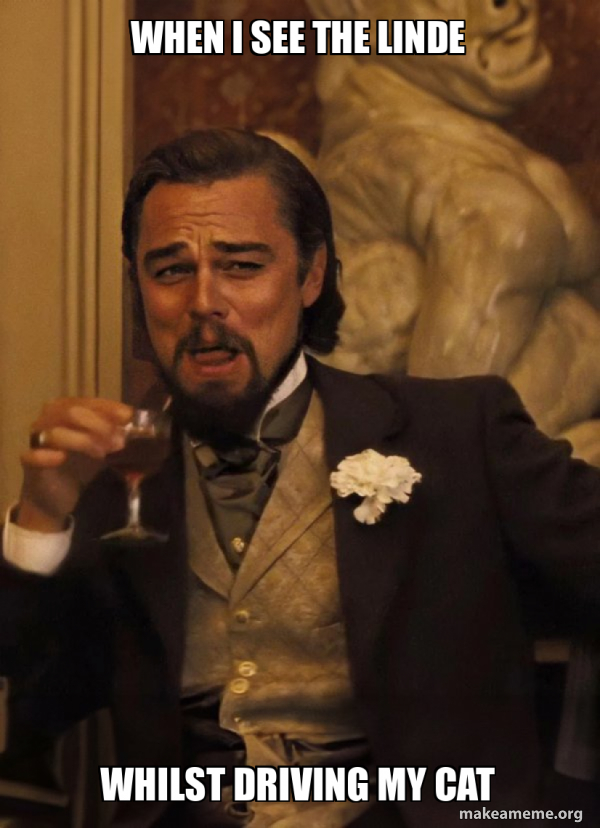WHEN I SEE THE LINDE WHILST DRIVING MY CAT - Leonardo DiCaprio Laughing ...