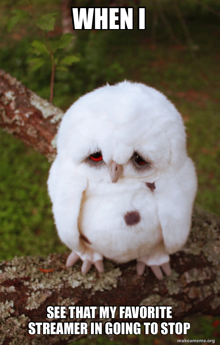 when I see that my favorite streamer in going to stop - Sad Owl Meme ...