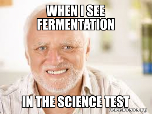 when i see fermentation in the science test Meme Generator