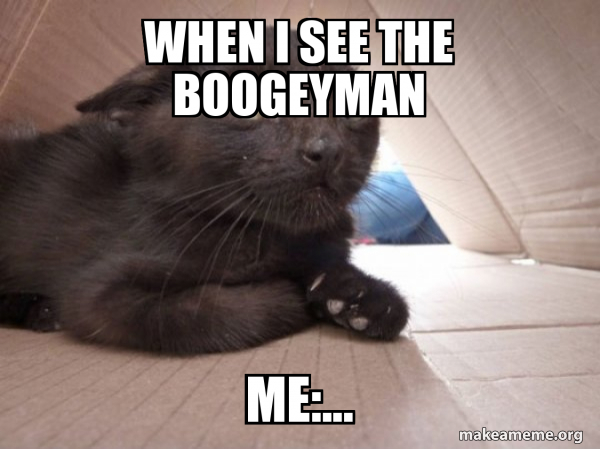 When i see the boogeyman Me:... - Schitzo Cat Meme Generator
