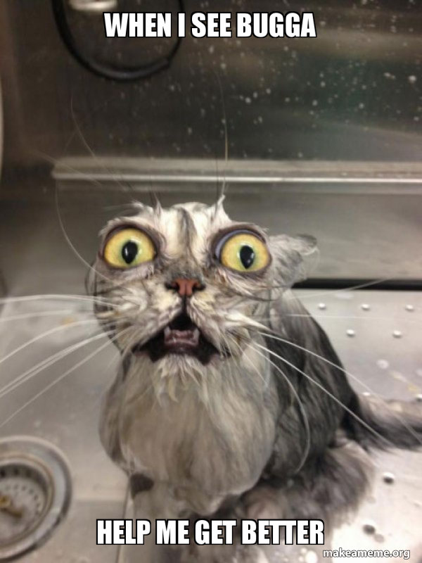 When I see Bugga Help me get better - Cat bath Meme Generator