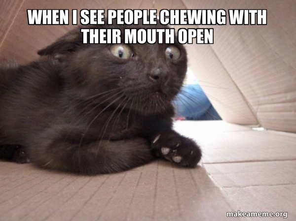 when I see people chewing with their mouth open - Schitzo Cat Meme ...