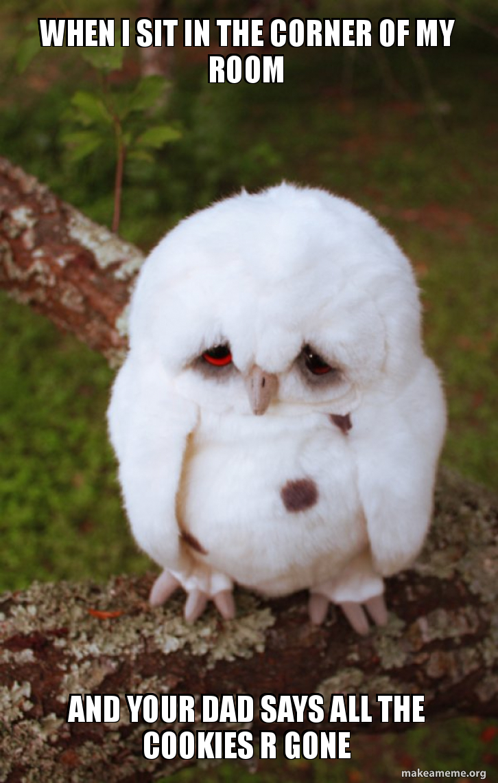 when I sit in the corner of my room And your dad says all the cookies r ...