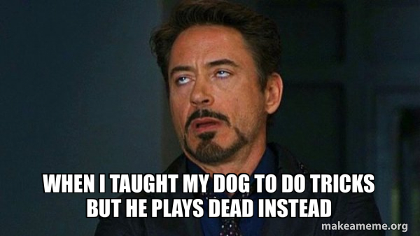when I taught my dog to do tricks but he plays dead instead - Tony ...