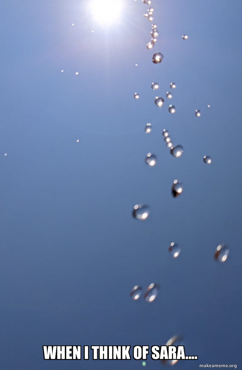 when i think of sara.... Meme Generator