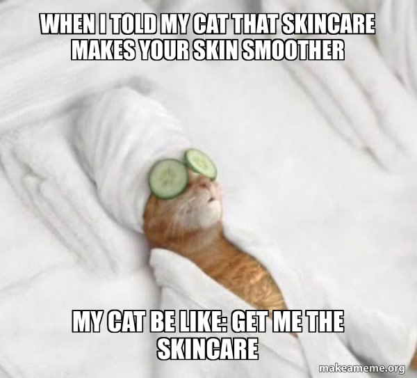 When I told my cat that skincare makes your skin smoother My cat be ...