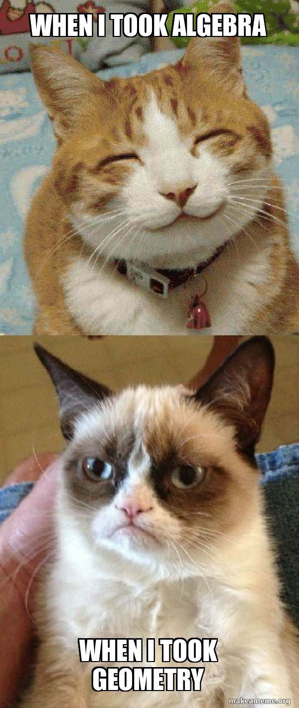 When I took Algebra When I took Geometry - Grumpy Cat vs Happy Cat Meme ...