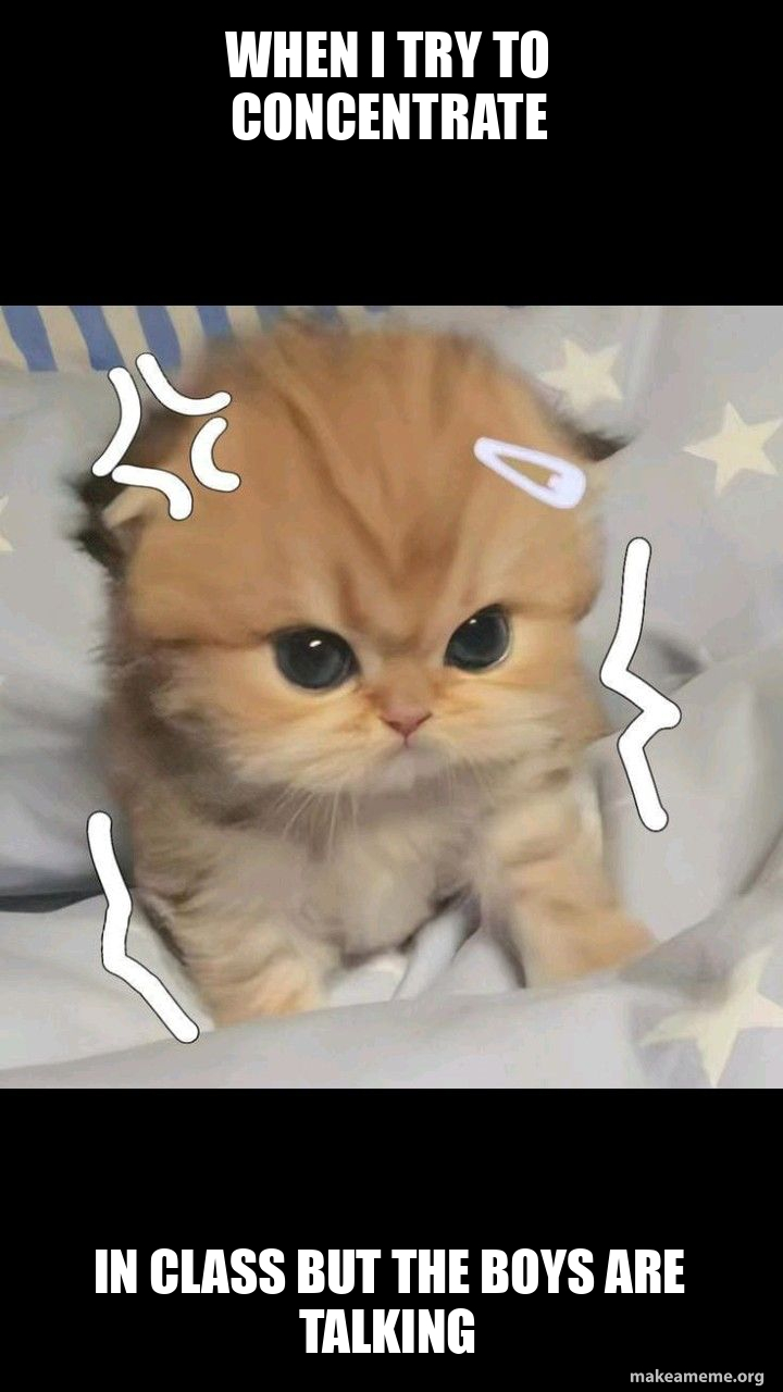 when i try to concentrate in class but the boys are talking Meme Generator