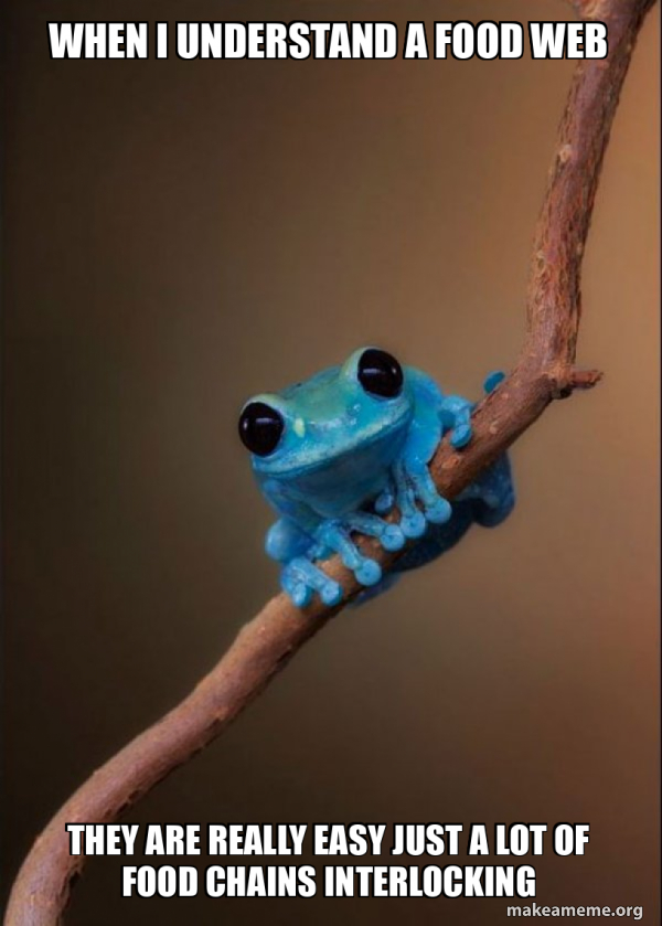 Food Chains Memes What Is A Meme? The Meaning And History The New