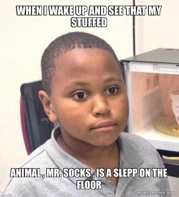 When I wake up and see that my stuffed animal , Mr. socks , is a slepp ...