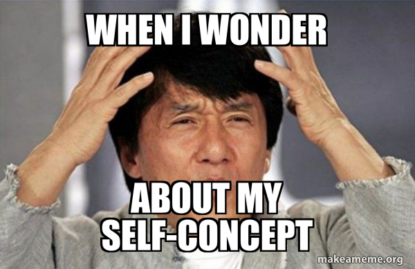 when i wonder about my self-concept - Jackie Chan Why? Meme Generator