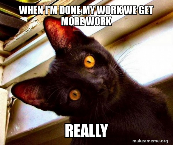when I'm done my work we get more work really - Overly Attached Cat ...